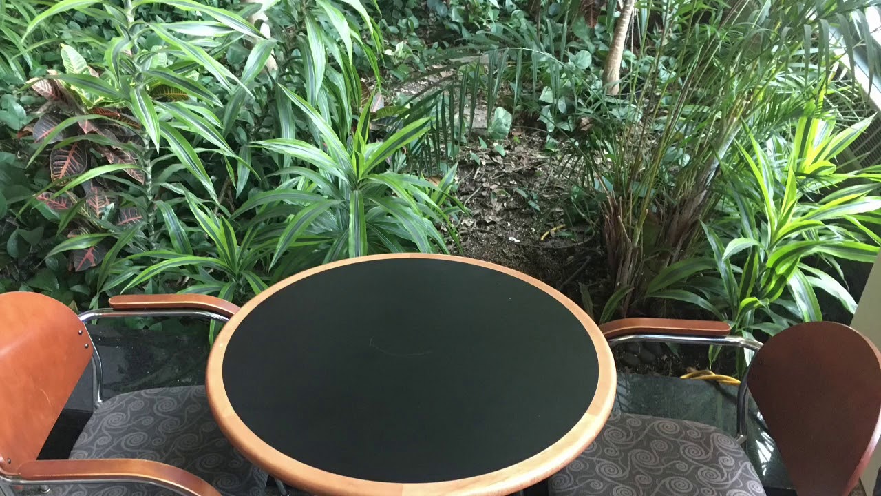 Sweets Building Materials- Appalachian State University's Solarium. IEW ...