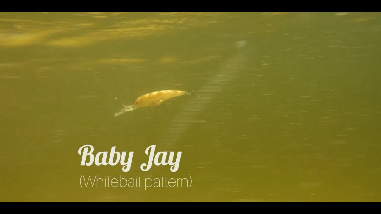 Jinda Tackle Baby Jay in Action Finding new Fishing Spots - YouTube