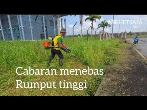 Cabaran Menebas rumput tinggi - YouTube