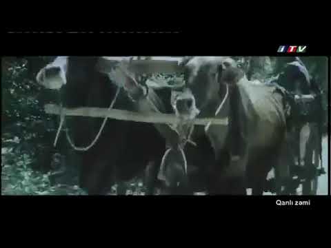 Qaçaq Nəbi mənalı səhnə