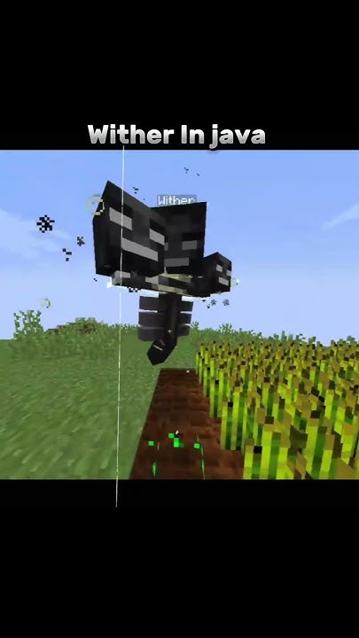 Wither In Java VS bedrock - YouTube