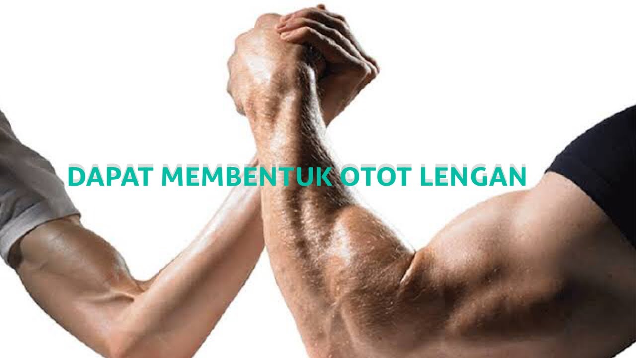 ALAT GYM BUAT YANG MAGER SEHARIAN - YouTube