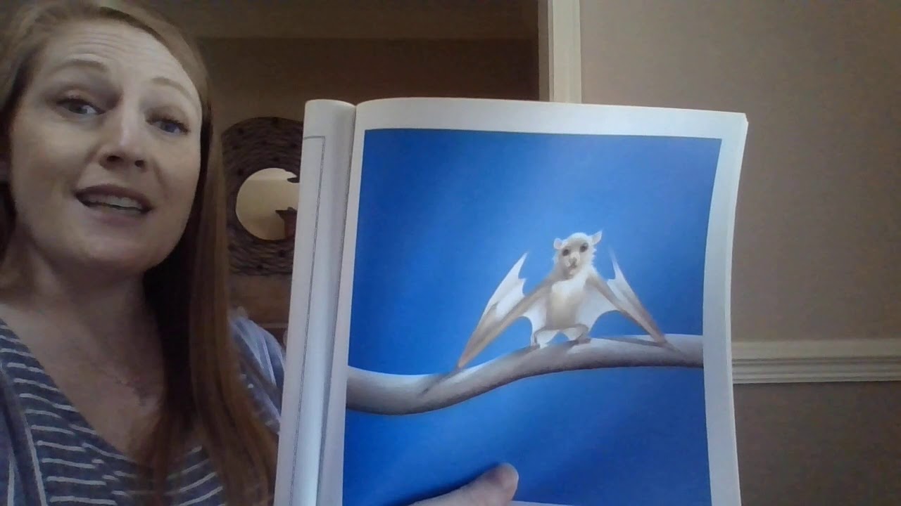 Stella Luna, by Janell Cannon - YouTube