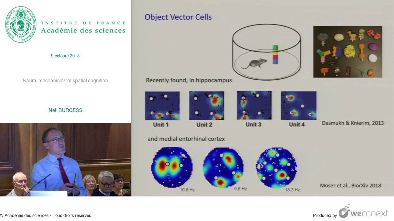 [Conférence] N. BURGESS - Neural mechanisms of spatial cognition - YouTube