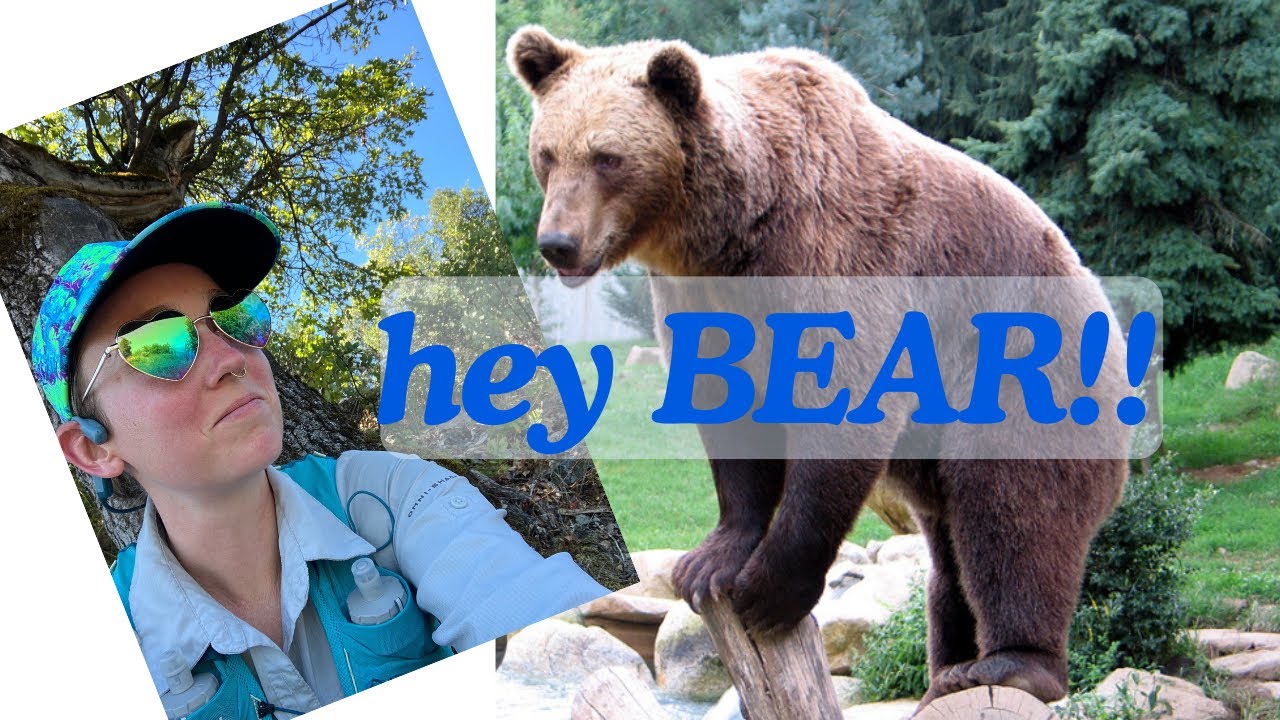 Trail Runner Encounters Bear - YouTube