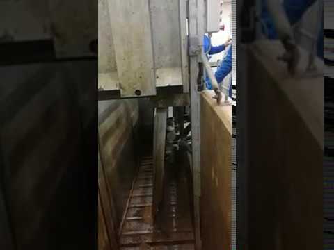 Restraint box-slaughterhouse 2018 - YouTube