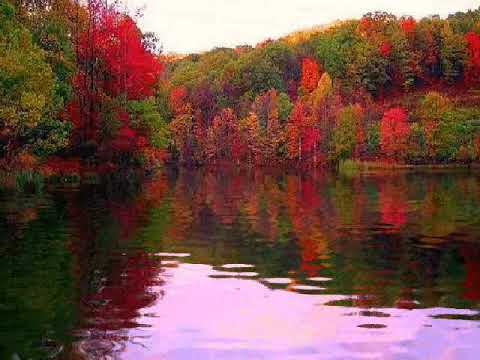 Mehmet YILMAZ - kapına gelem