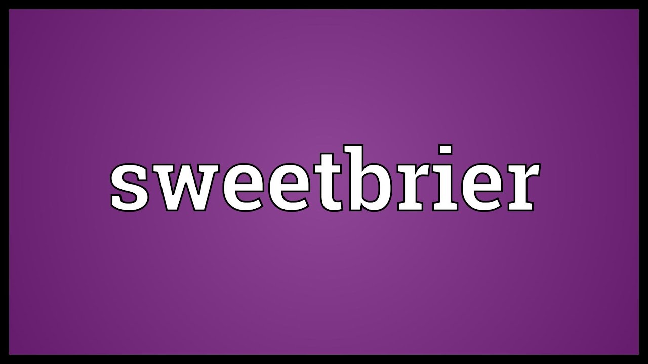 Sweetbrier Meaning - YouTube