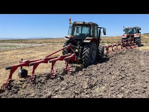 PULLUK BATIYO-BATMIYO! ÇİZELLE ANIZ BOZUYORUZ!