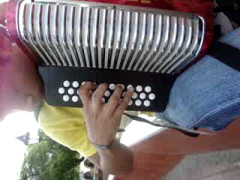Festival - Mario Bravo Paseo vallenato