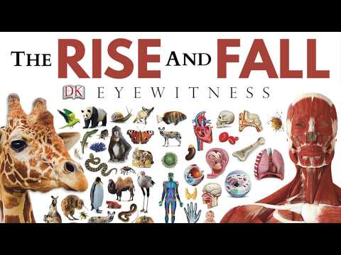 What Ever Happened to Eyewitness?