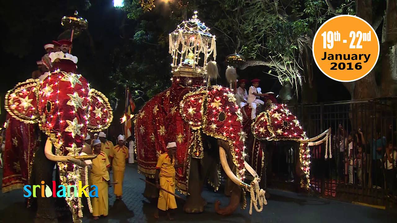 DURUTHU PERAHERA - YouTube