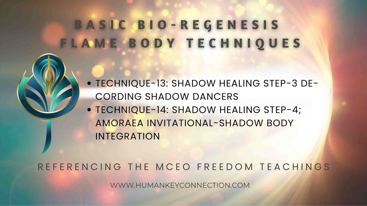 Technique-13: De-Cording Shadow Dancers & Technique-14: Shadow Body ...