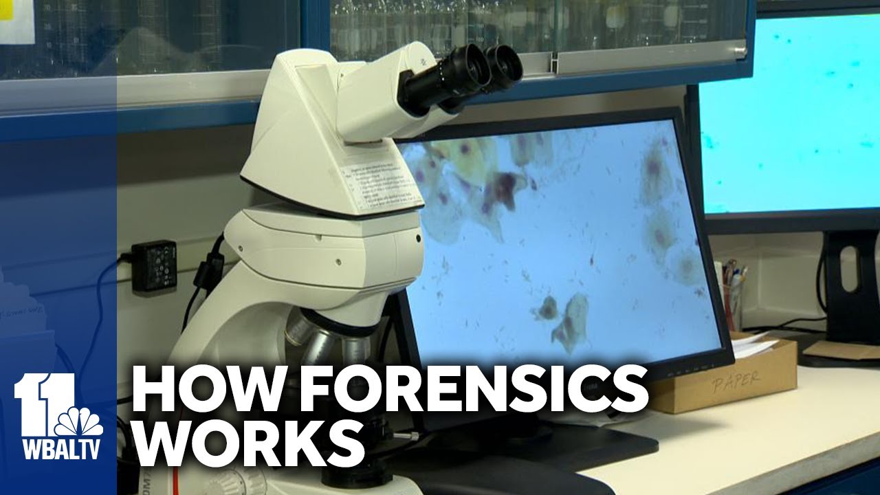 Police forensics team shows how it processes evidence - YouTube