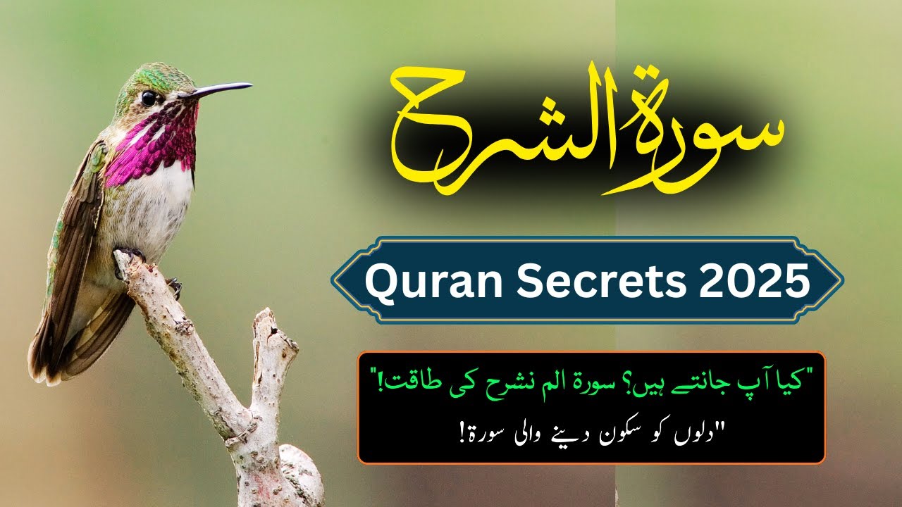 What Makes Surah Ash Sharh and Surah Alam Nashrah So POWERFUL in 2025 ...