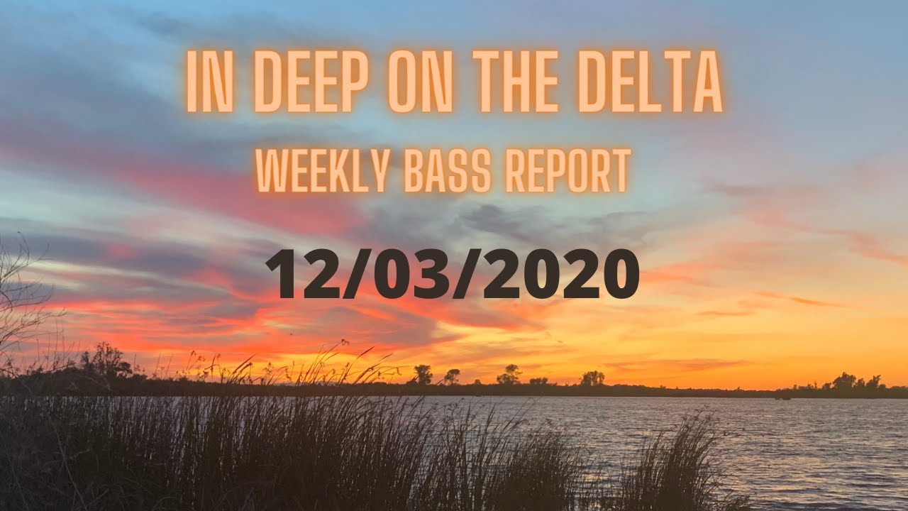 December 3, 2020 Delta Bass report. - YouTube