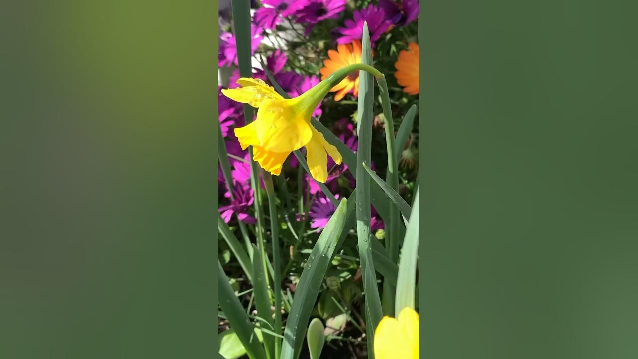 Spring is coming - YouTube