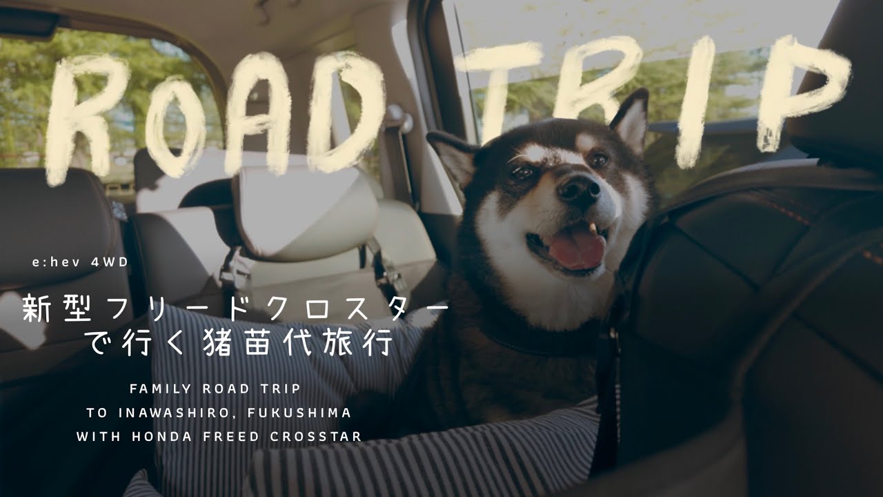 Road Trip to Inawashiro, Fukushima 🚗 | Ramen Buffet 🍜 | Sauce Katsudon ...