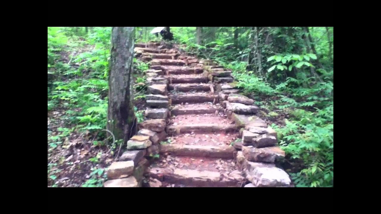The Palmetto Trail - Saluda Mountains Passage (Part 1) - YouTube