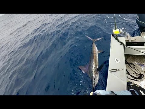 Exmouth Fishing 2018 Solo Marlin - YouTube