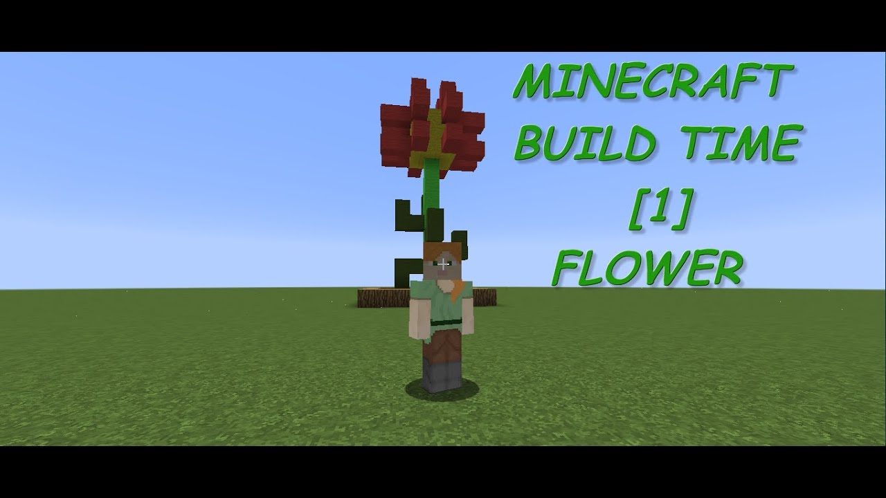 FIRST VIDEO: MINECRAFT BUILD TIME: FLOWER [1] - YouTube