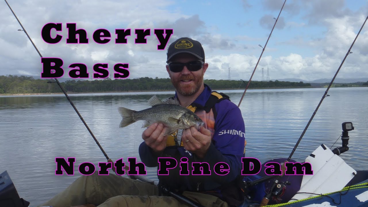 First Bass - Forgan Cove, North Pine Dam - January 2019 - YouTube