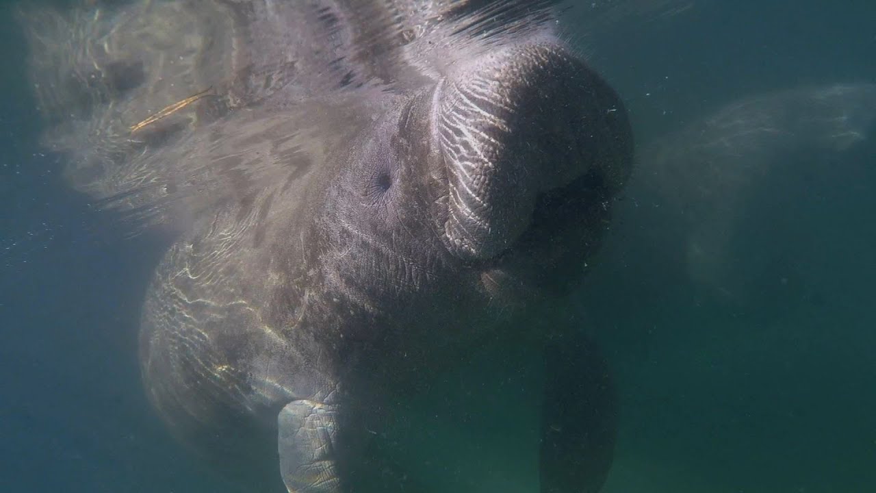 LIFE ON THE WATER - YouTube