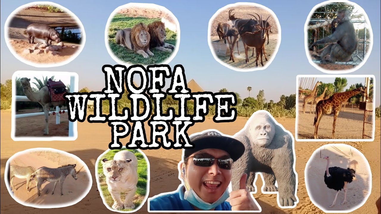 NOFA WILDLIFE PARK AND SAFARI RIYADH SAUDI ARABIA | Jetsam Channel ...