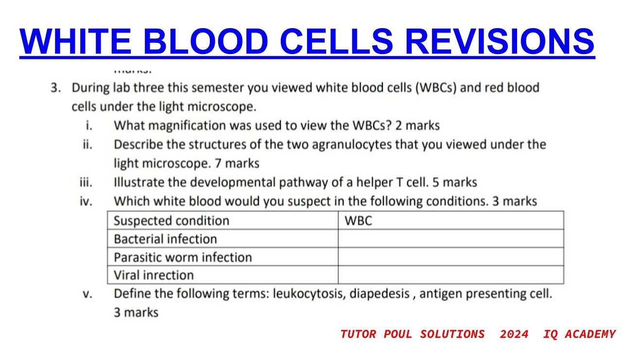 WHITE BLOOD CELLS REVISIONS - YouTube