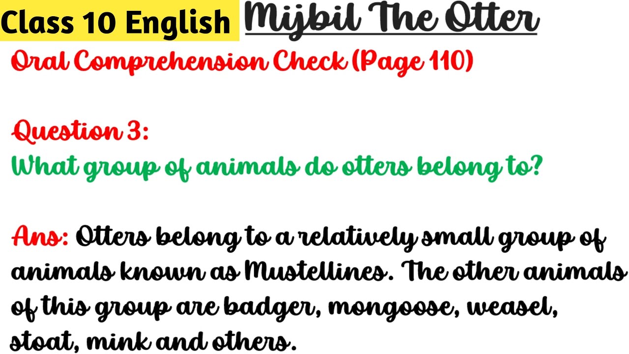 What group of animals do otters belong to? | Mijbil the otter | Class ...