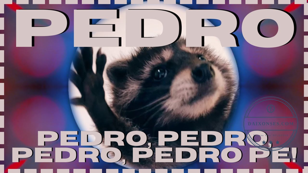 PEDRO el MAPACHE Bailarín - YouTube