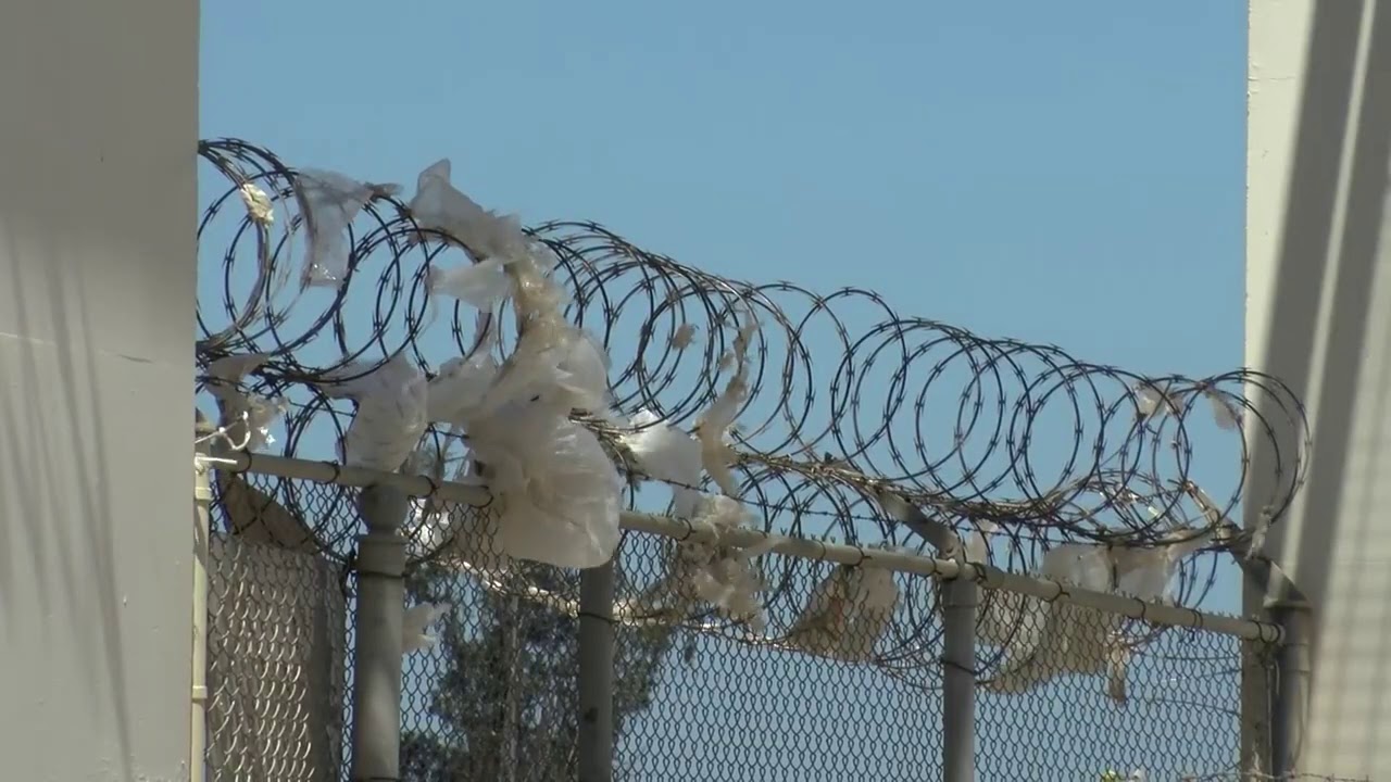 FILE VO CTF SOLEDAD PRISON.mp4 - YouTube