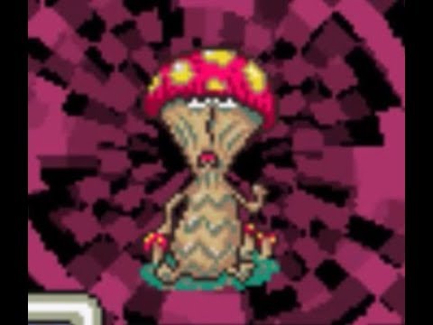 Shrooom! (Rainy Circle Sanctuary | Earthbound) - YouTube