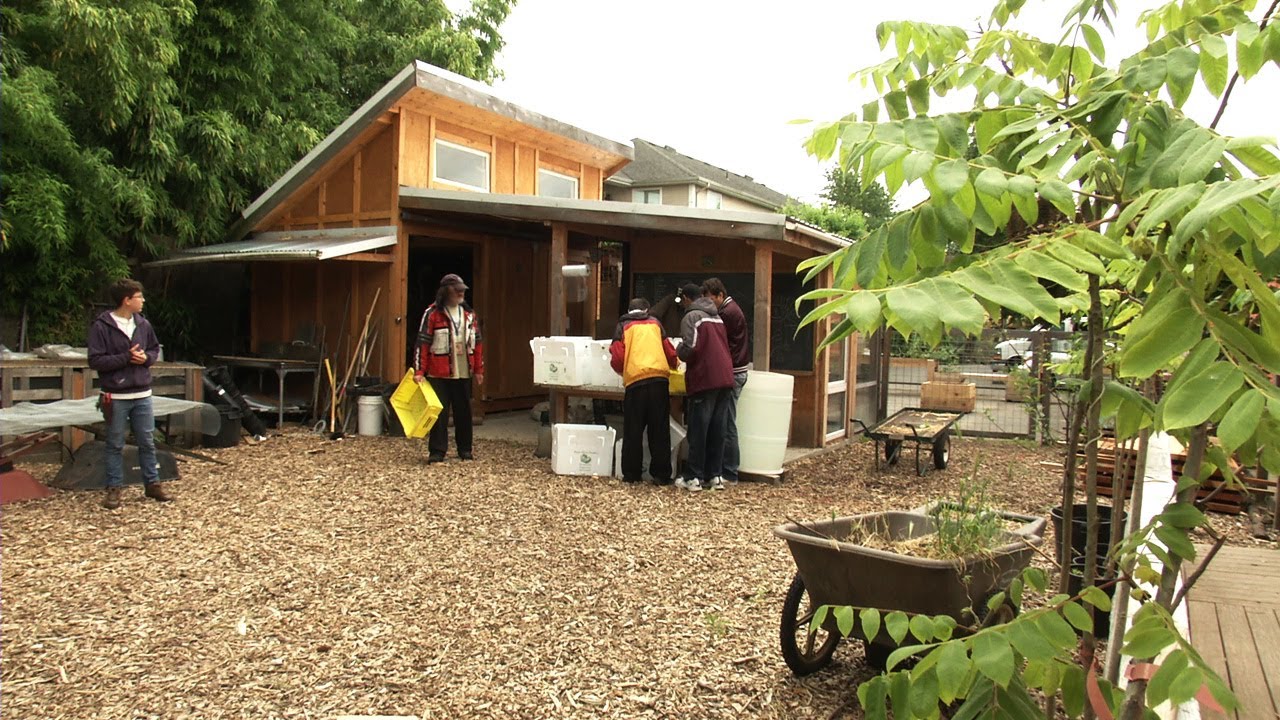 Empowering Communities: An Urban Farm's Unique Approach with Disabled ...