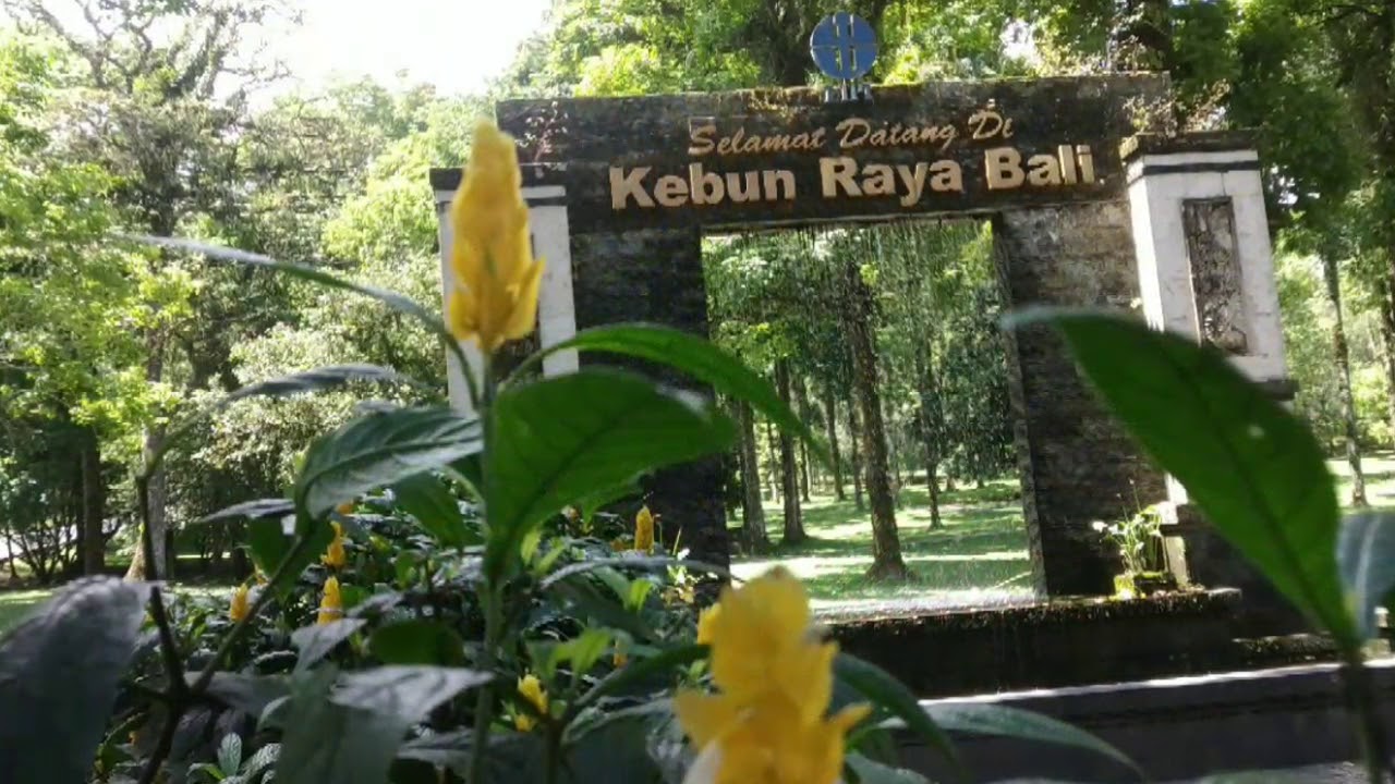 Bali Botanic Garden / Kebun Raya Bali - YouTube