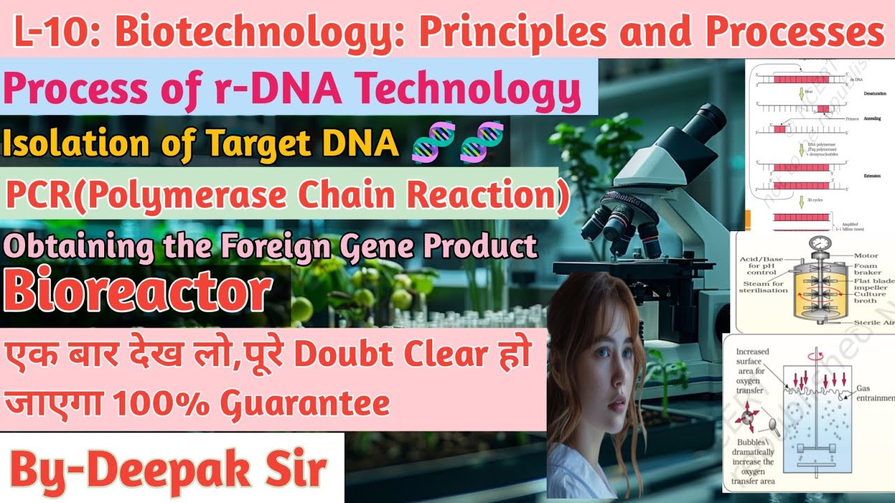 L-10,Biotech. Process of rDNA(Recombinant DNA) Technology#PCR ...