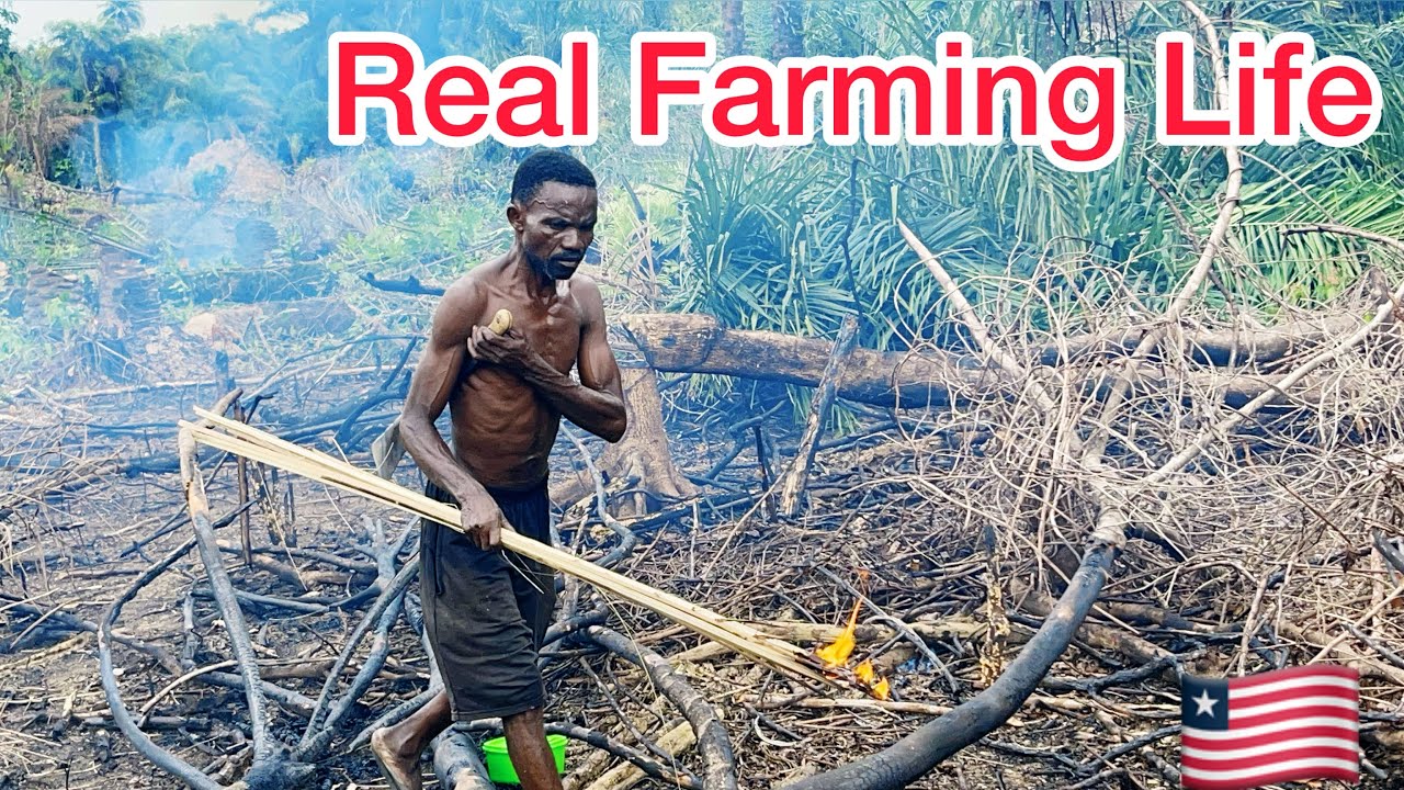Farming in Liberia Grand Bassa county || a day on my farm - YouTube