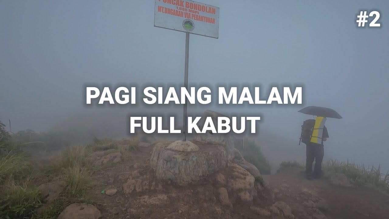 INI GUNUNG KABUT - SOLO HIKING GUNUNG UNGARAN VIA PERANTUNAN #2 - YouTube