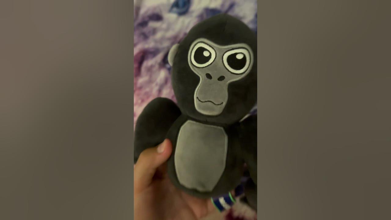Finally got my gtag plush - YouTube
