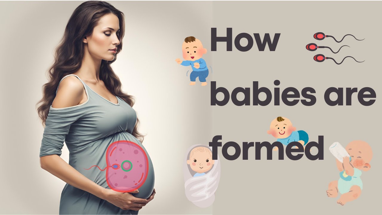 How babies are formed #children #chile #viral_video #trend #amazing # ...