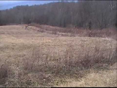 Rabbit Hunting Part 2 - YouTube