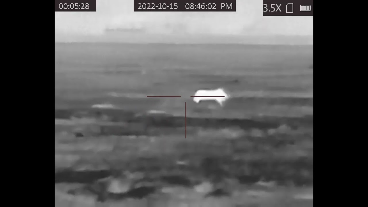 Cant get them all. 130 yards in slow mode. - YouTube