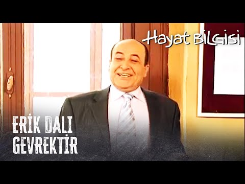Amil, Müzik Dersi Veriyor - Hayat Bilgisi 12. Bölüm