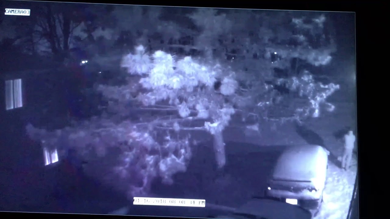 Meteor lands in my backyard/woods - YouTube