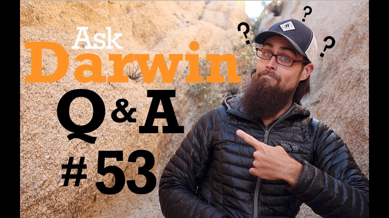 Ask Darwin Q&A #53 (Answers) - YouTube