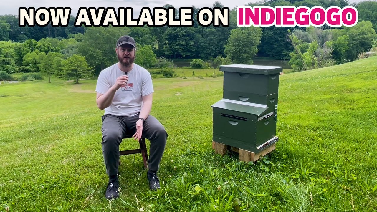 The Keeper's Hive Is Now Taking Orders On Indiegogo! - YouTube