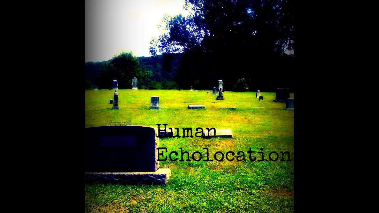 Human Echolocation - YouTube