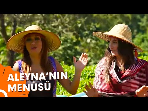 Aleyna Hangi Yemekleri Yapacak? | Zuhal Topal'la Yemekteyiz 243. Bölüm