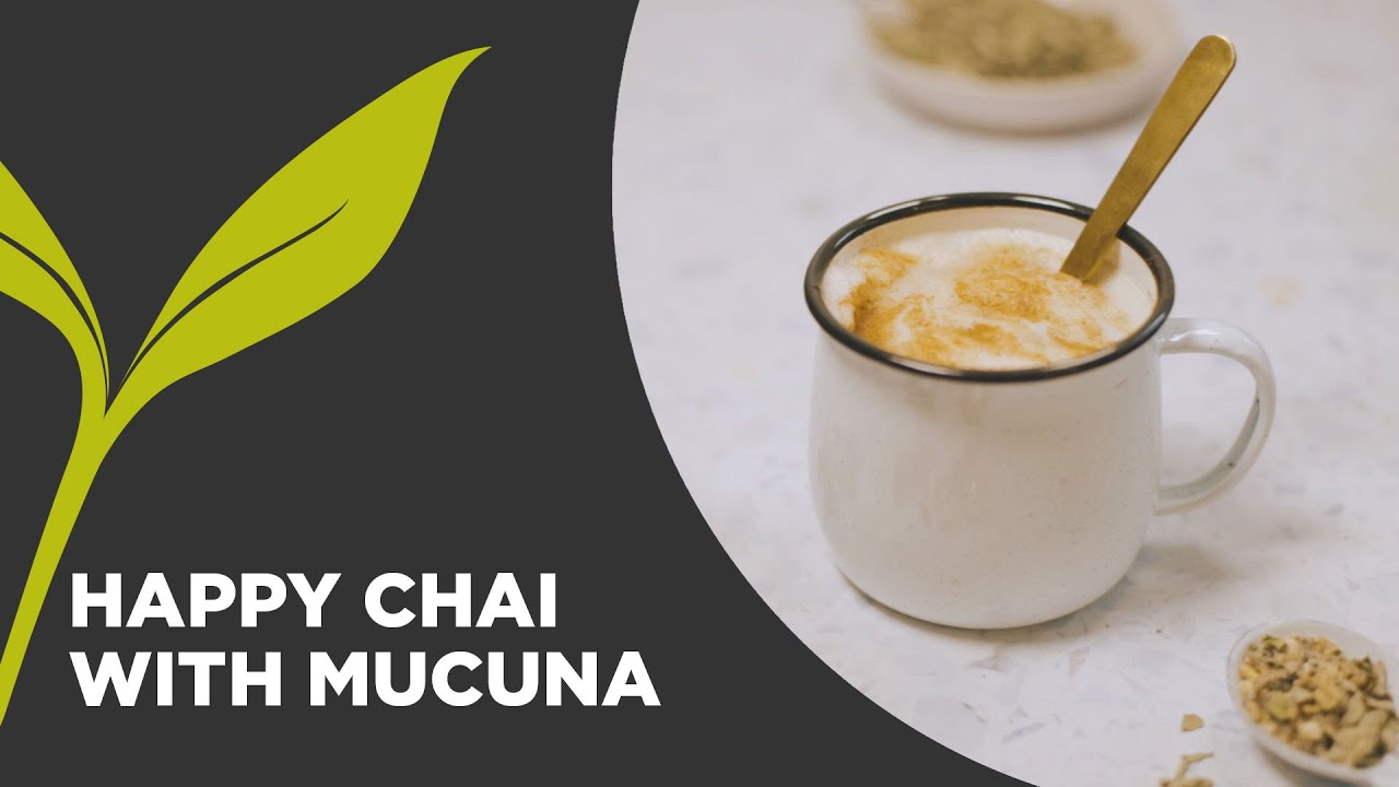Chai Tea Latte Recipe with Mucuna pruriens | Ayurvedic Drink Recipes ...