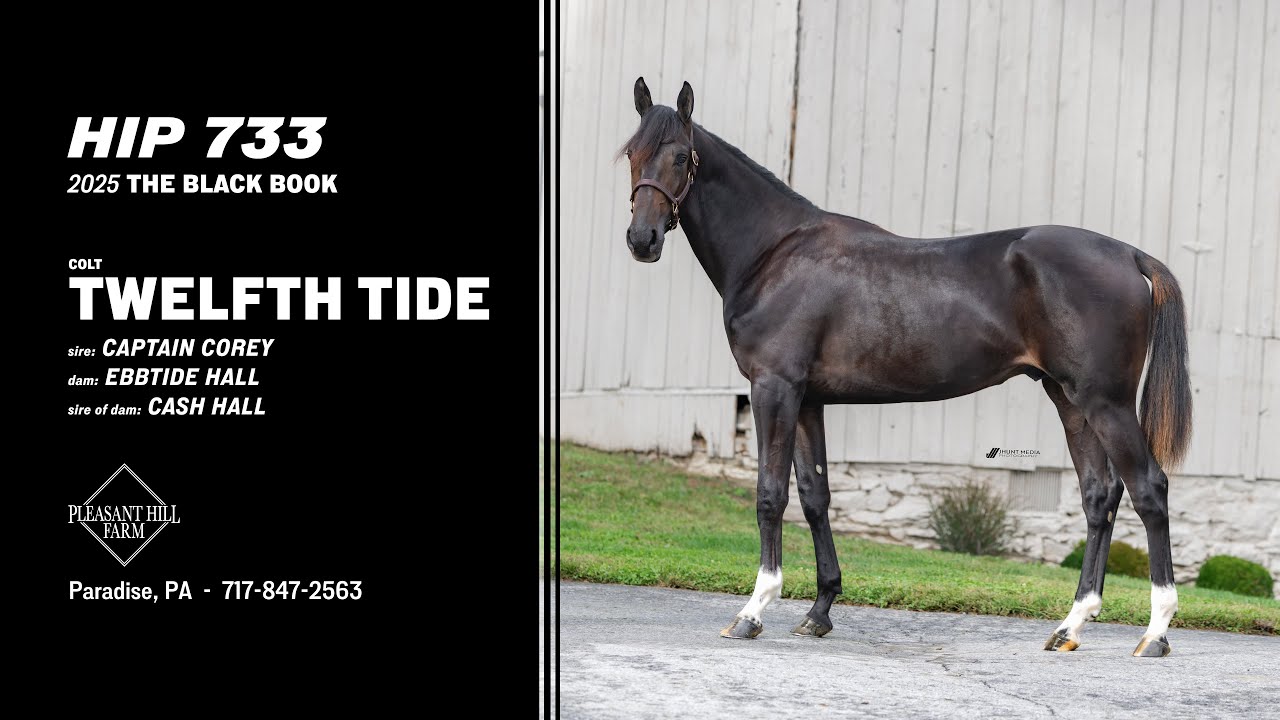 Twelfth Tide (Captain Corey x Ebbtide Hall) Lot 733 - YouTube